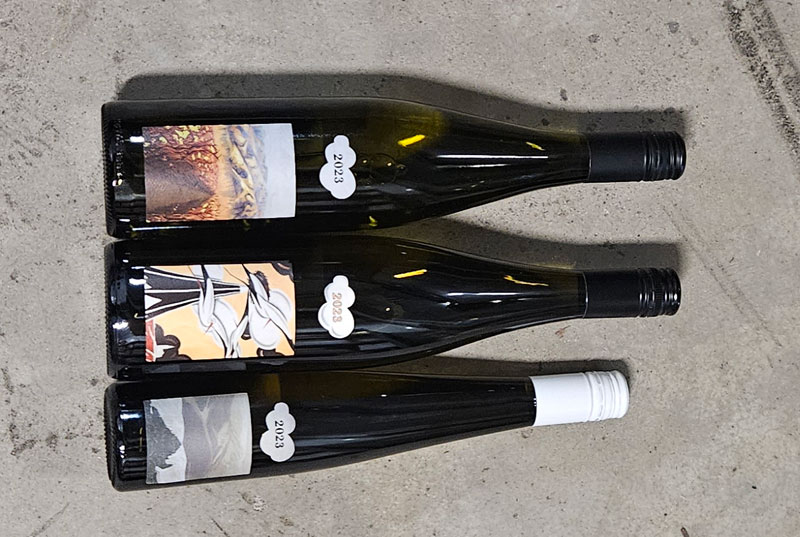 Blast Off - Sierra Reed's 2023 Rieslings - Waters Wine Company